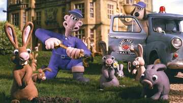 15 Weird and Wonderful Rabbits in Movies | SBS What's On