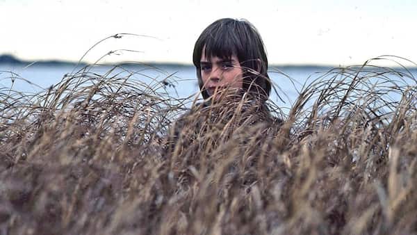 Storm Boy: Cheat Sheet | SBS What's On