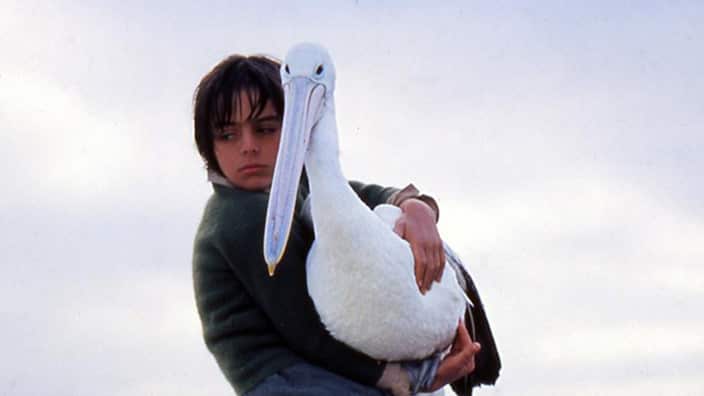 Storm Boy: Cheat Sheet | SBS What's On