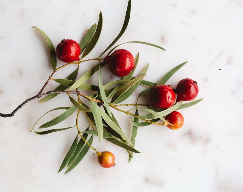 A quandong pie symbolising kinship and connection to Country | SBS Food