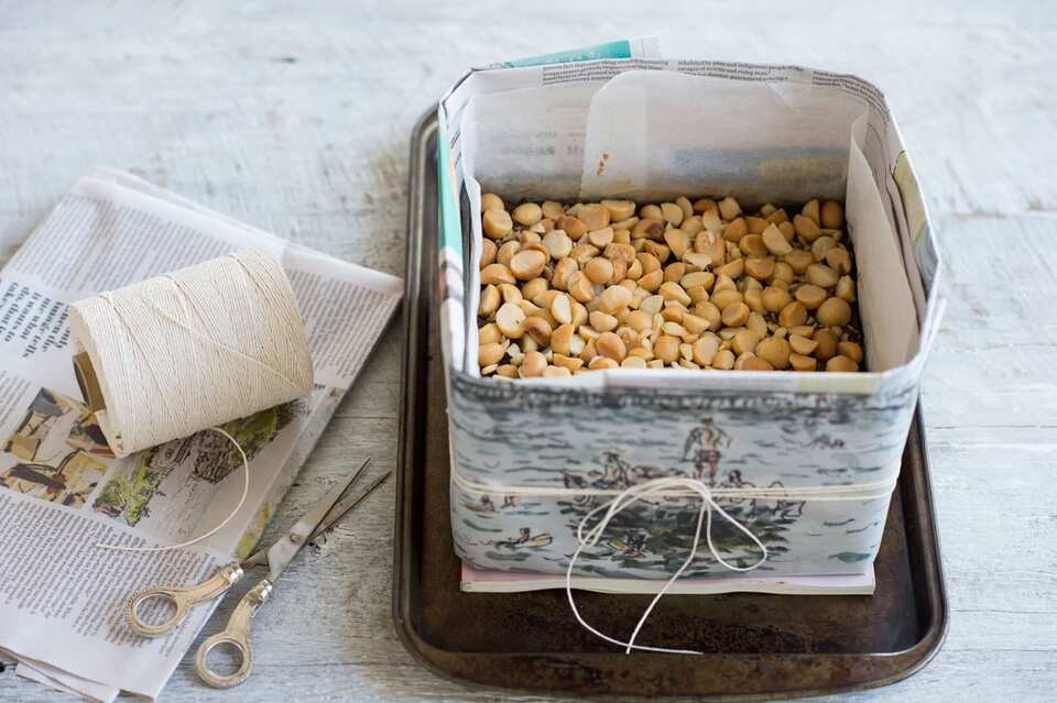 Everything you need to know about Australia's native nut | SBS Food