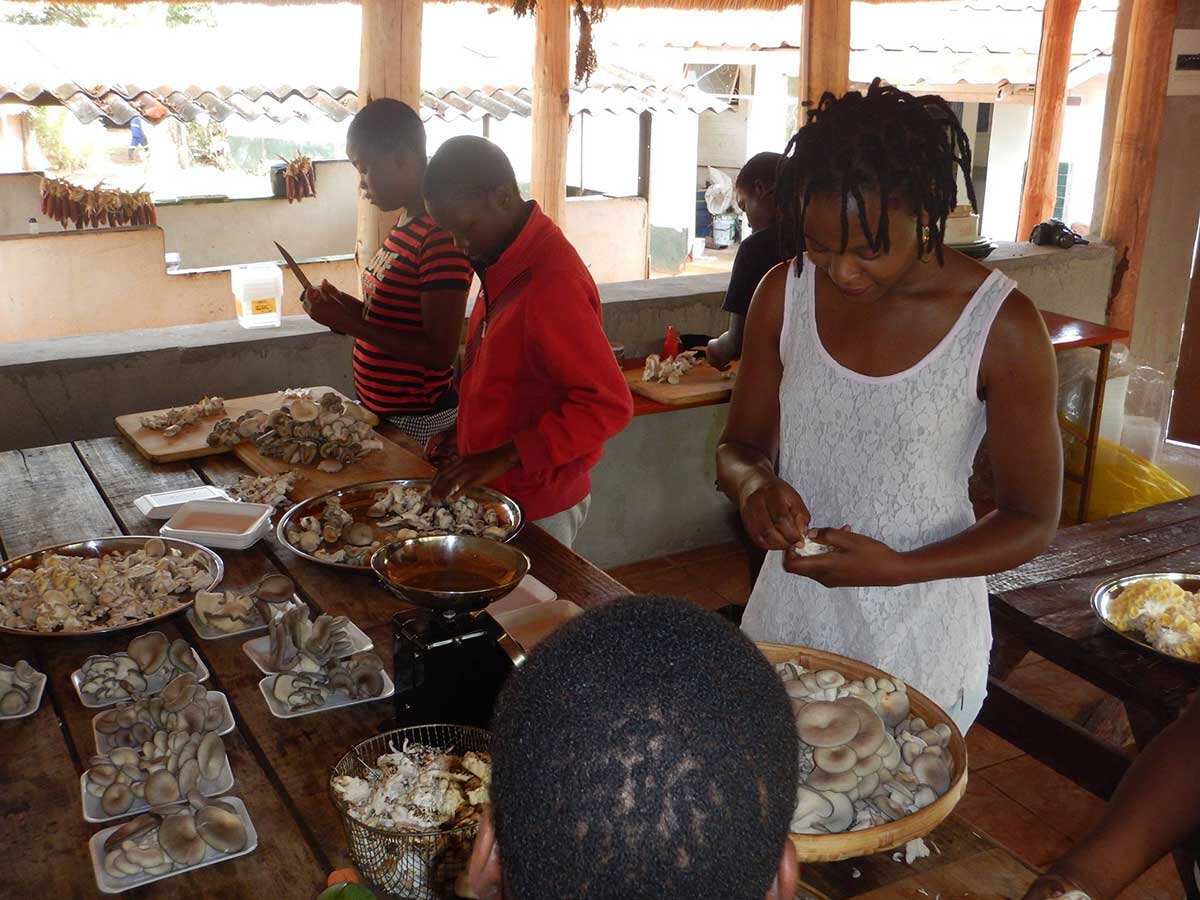 A growing message of hope | SBS Food