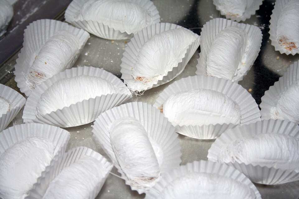 Discover the delicious sugary joy of Dragon Beard candy | SBS Food