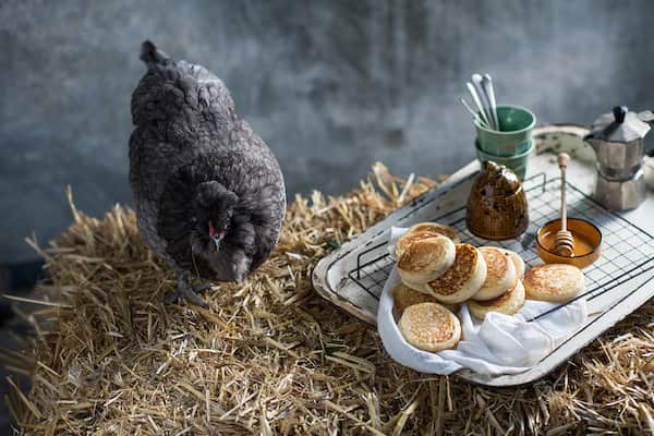 How to master the crumpet | SBS Food
