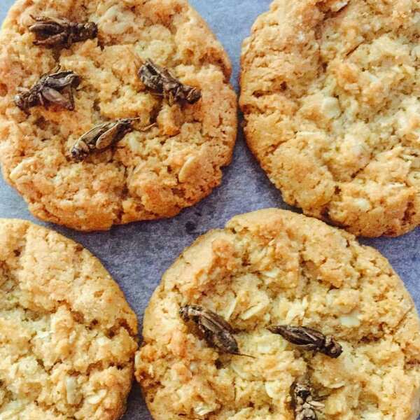 Are Australians ready yet to embrace ants, crickets and locusts for ...