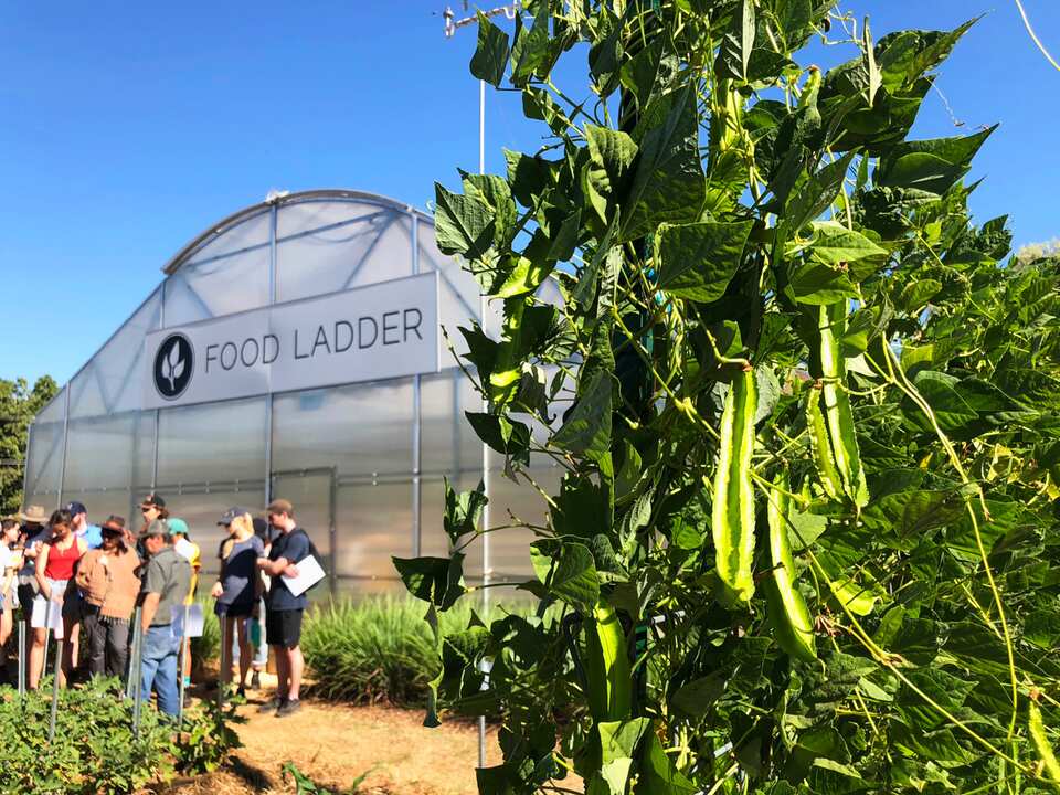 How this food-growing technology empowers Indigenous communities | SBS Food