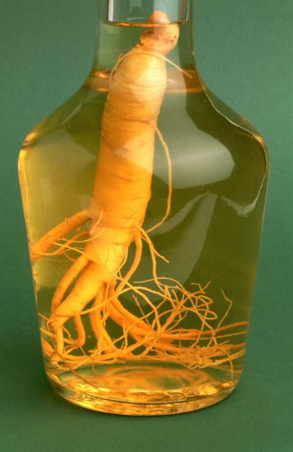 How to eat ginseng and safely reap the health benefits this winter ...