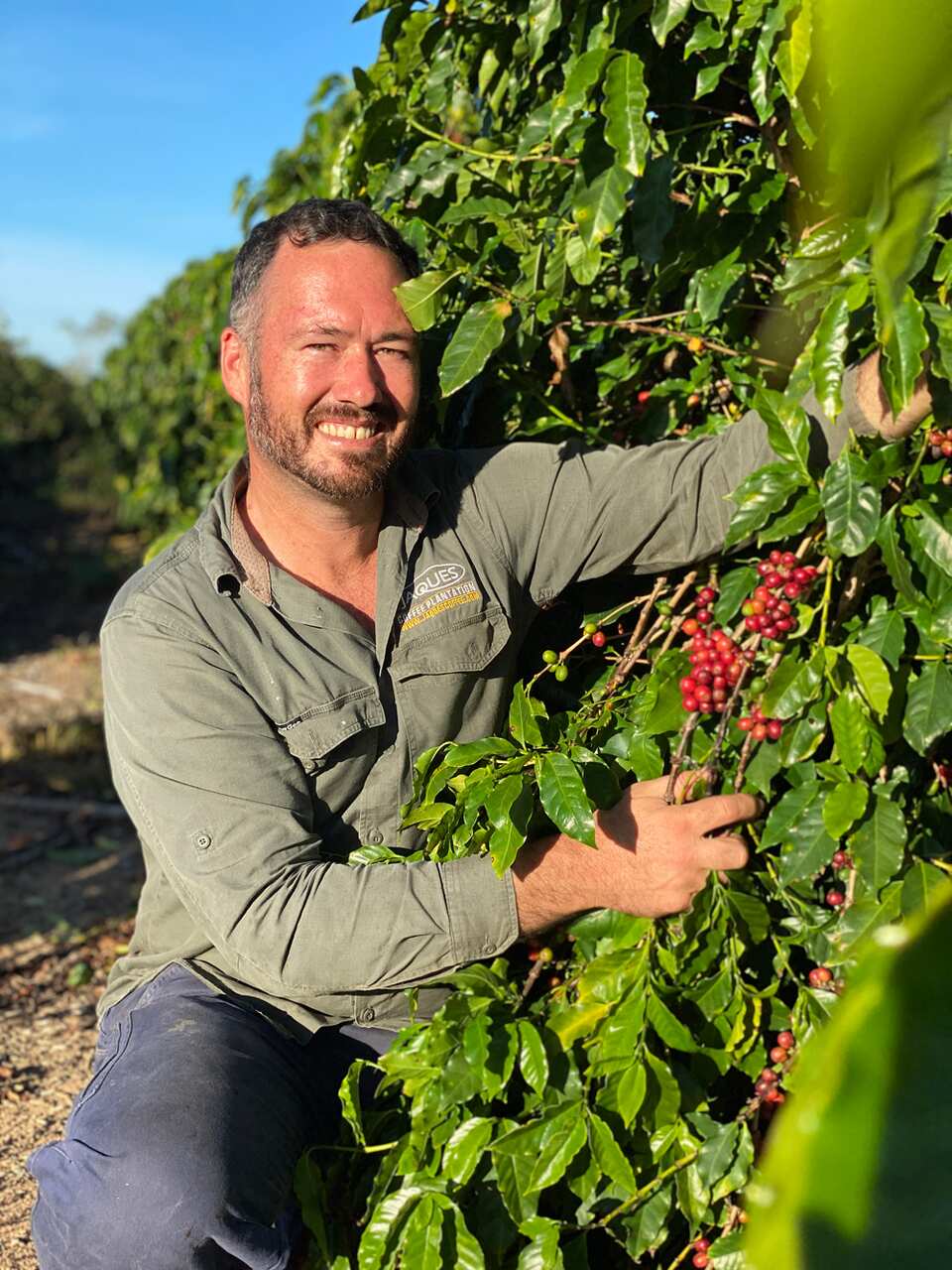 Everything you need to know about Australian-grown coffee | SBS The ...