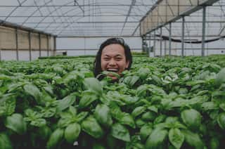 Recipes | Chefs | SBS Food