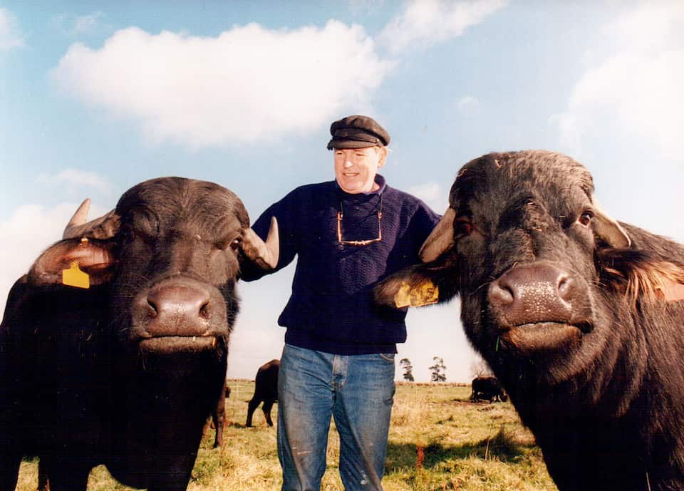 Meet your merchant: Shaw River Buffalo Cheese | SBS Food