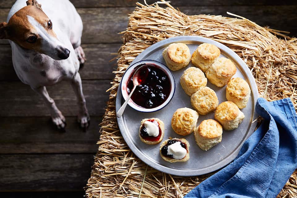 River Cottage Australia | Episode guide | SBS Food