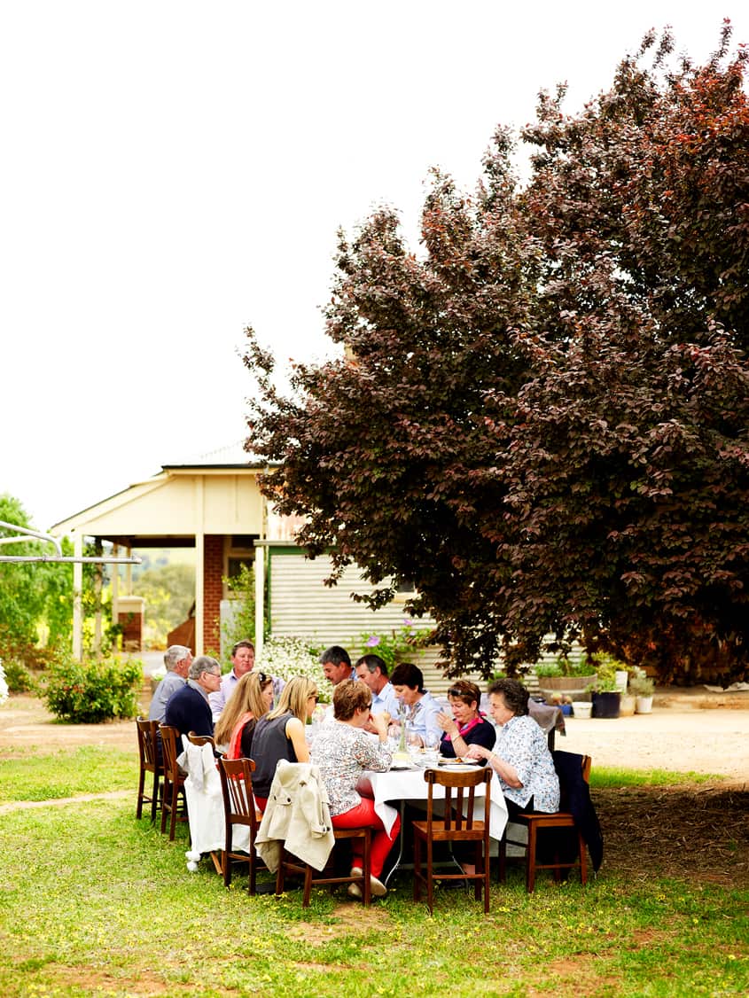 Celebrate: Shearing season | SBS Food