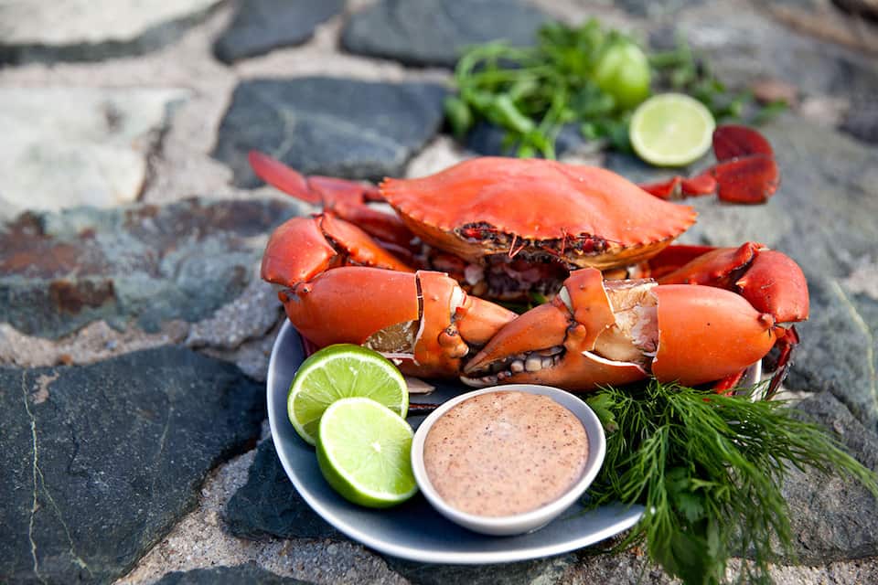 23 homemade condiments starring Indigenous Australian flavours | SBS Food