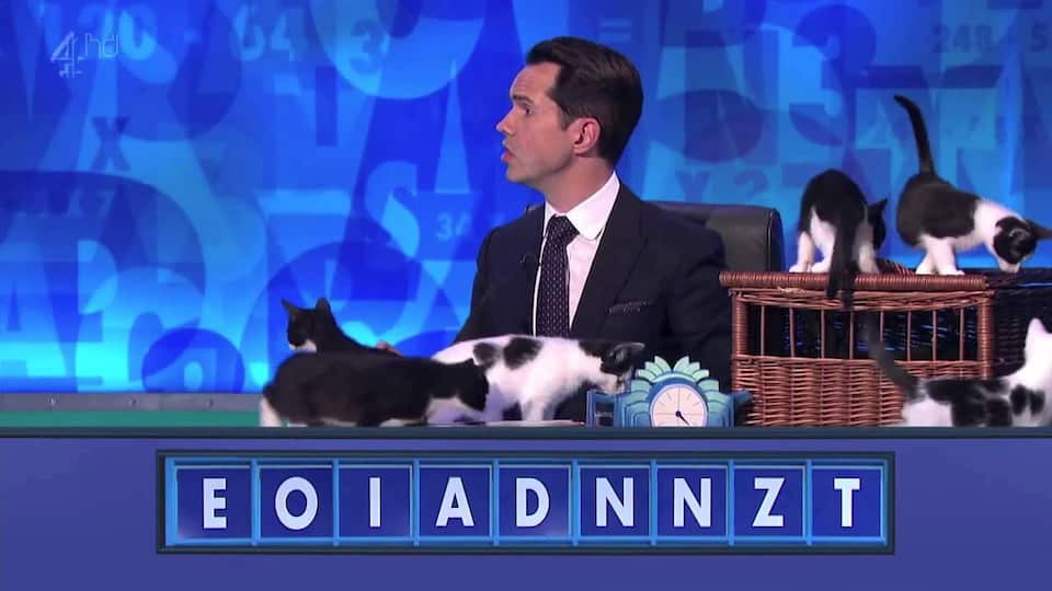 Who’s who on 8 Out of 10 Cats Does Countdown | SBS What's On
