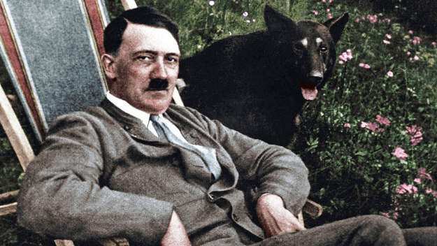 Everything you wanted to know about Hitler but were too afraid to ask ...