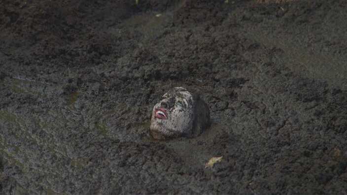 Are you currently stuck in quicksand? Here are some tips! | SBS What's On