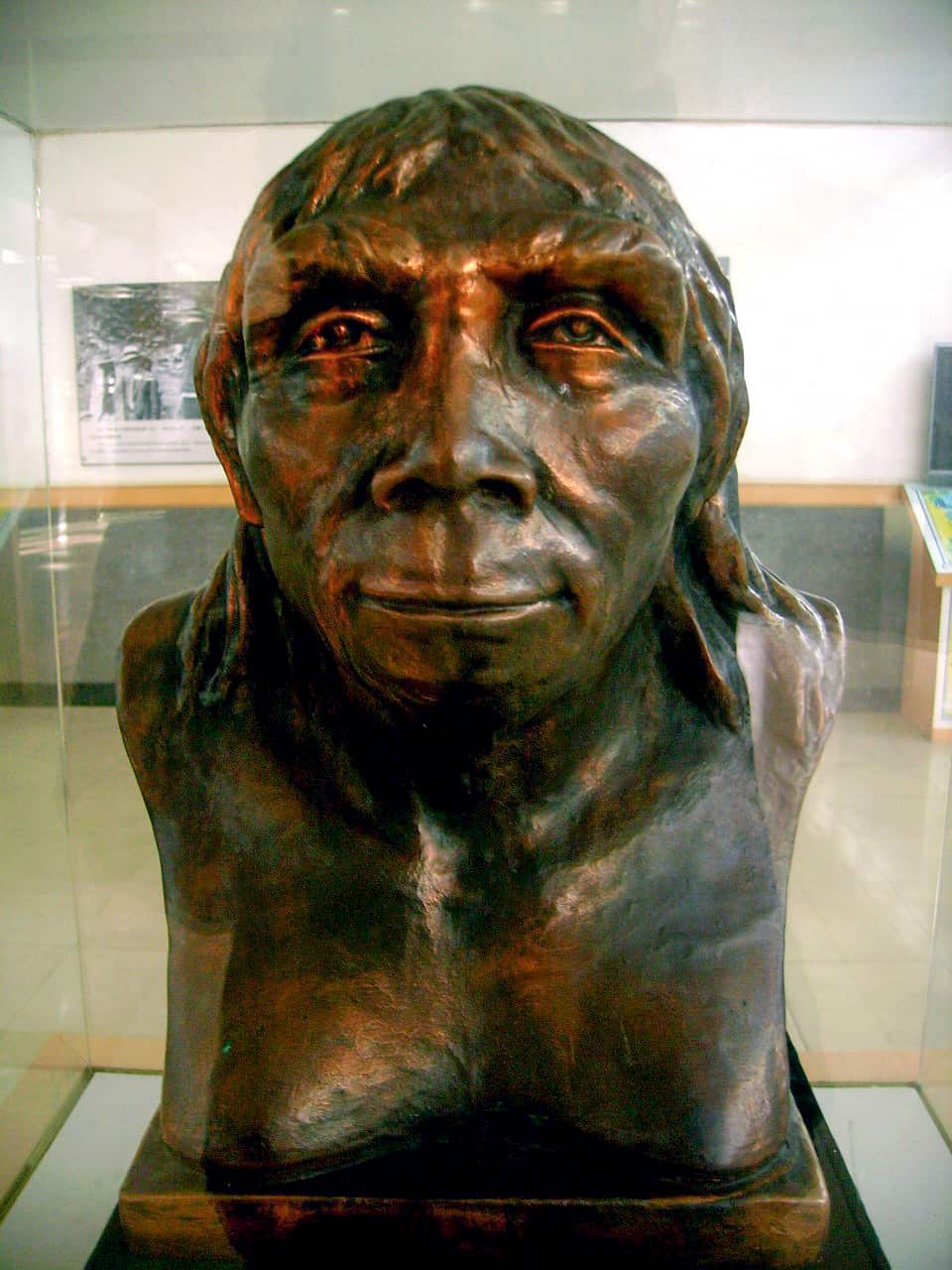 Top 5 lost treasures of World War II | SBS What's On