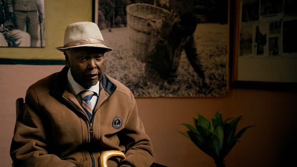 Lest we forget: ‘Tony Robinson’s Forgotten War Stories’ | SBS What's On