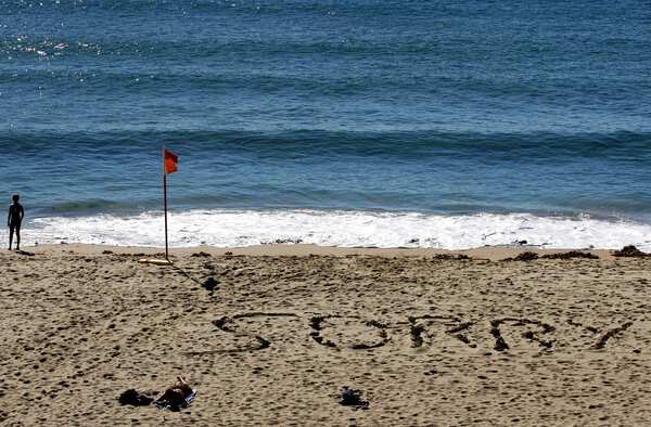 'All it took was a trigger': the racism of the Cronulla riots, 15 years ...