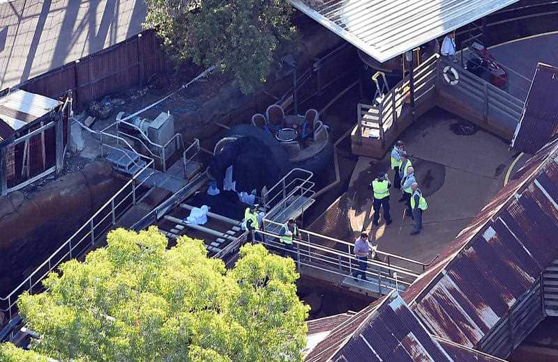 Dreamworld tragedy: 'miracle' boy and girl survived fatal crash, police ...