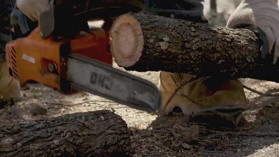 The Indigenous couple hoping to share Australia's native ingredients ...