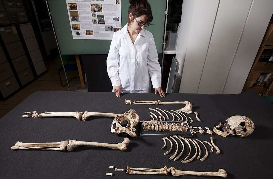 'Cheddar Man': DNA shows first modern Briton had dark skin, blue eyes ...