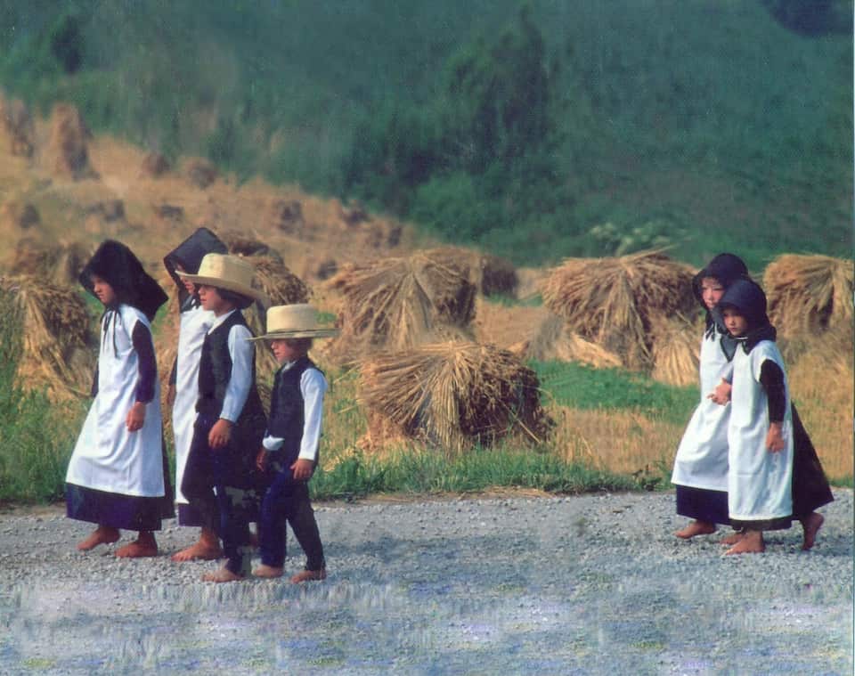 'I was brainwashed by the Amish community' | SBS Insight