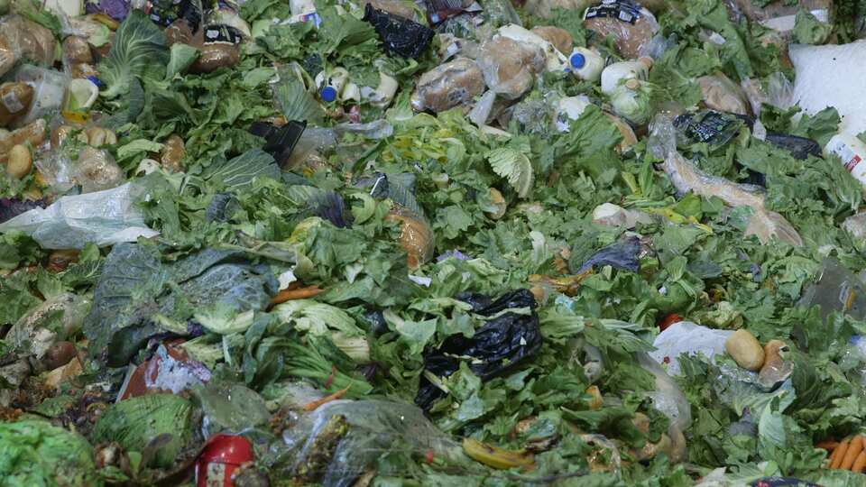 James eats most of his meals from food collected in bins. But is ...