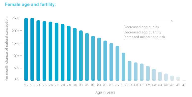 What you know about your fertility is probably not true: here’s why ...