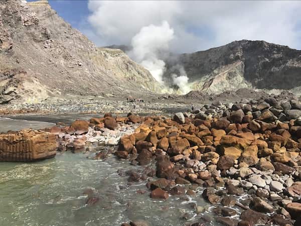 This is the family that owns the Whakaari volcanic Island | SBS News