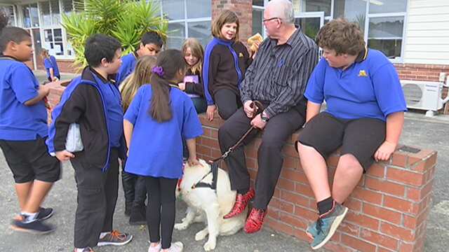 The school with no rules | SBS News