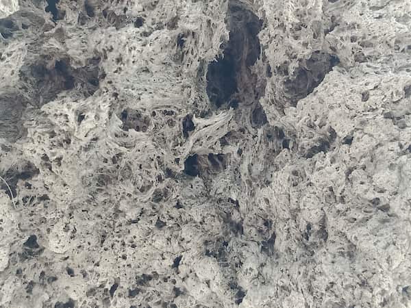 This floating pumice raft in the Pacific could help save the Great ...