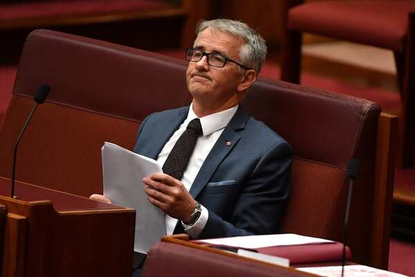 All the minor parties contesting the federal election | SBS News