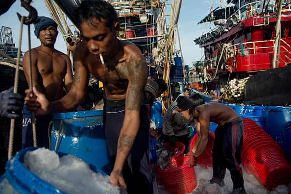 Australia's imported seafood linked to slave labour | SBS News