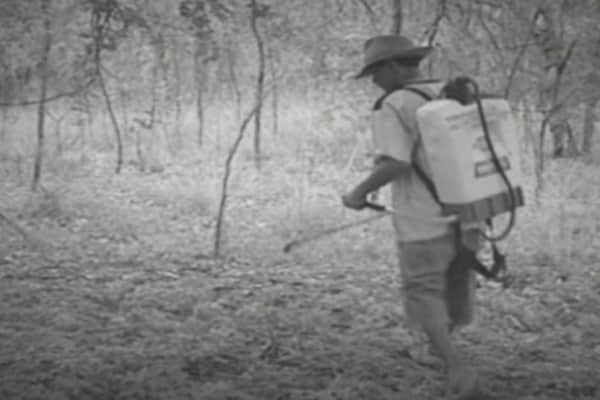 Untold terror of Agent Orange legacy comes to light in new compo case ...