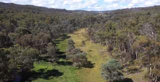 'It's ours': Crowdfunded land buyback lets Anaiwan connect with Country ...