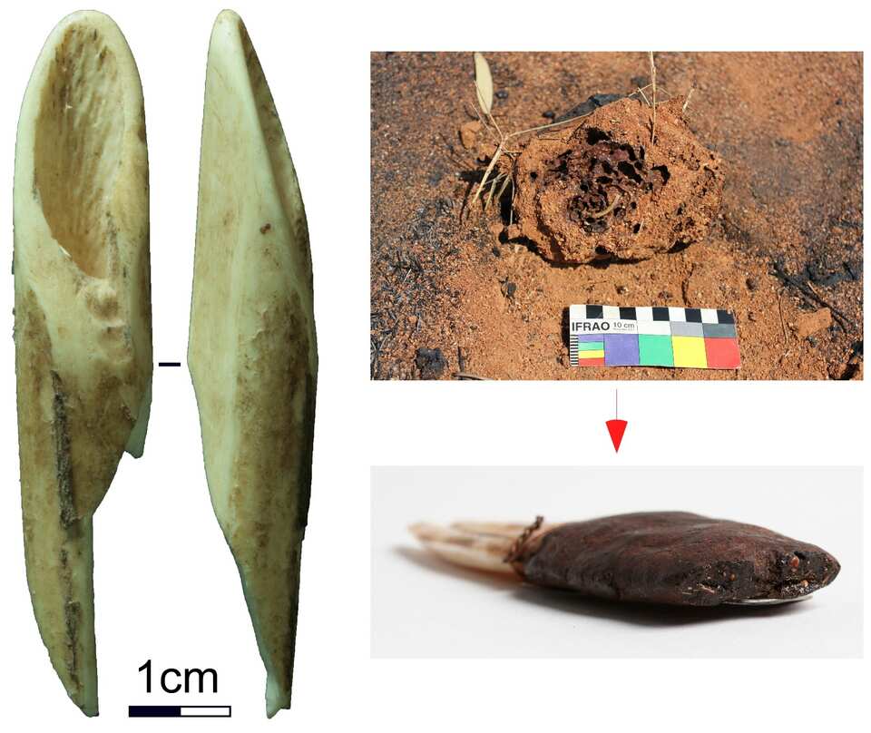 'Really significant': Traditional Owners celebrate bone tools find ...