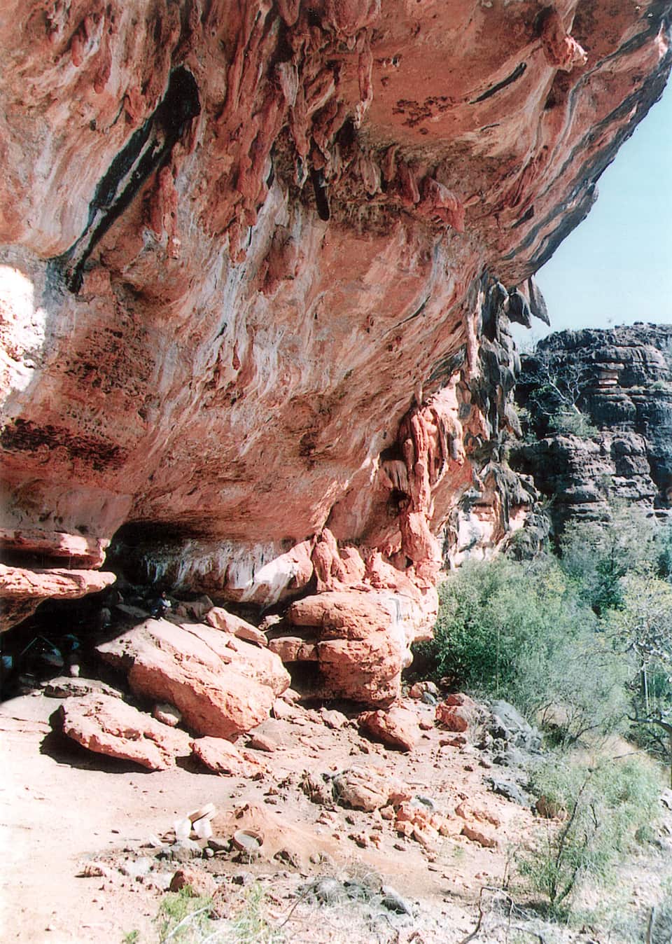The untold story of the ancient Aboriginal bone ornament that upended ...