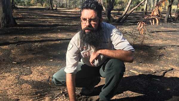 Indigenous fire management practices benefit Country and Traditional ...