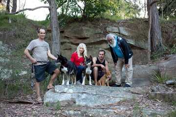 Are dingoes dangerous or just misunderstood? | SBS The Point
