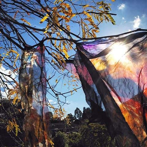 NAIDOC Week: Thursday live blog | SBS NITV