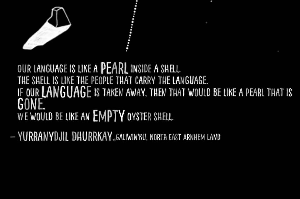 What is language extinction and why should we care? | SBS NITV