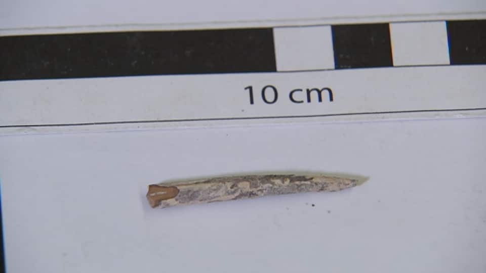 Historic discovery places Adnyamathanha people in outback Australia ...