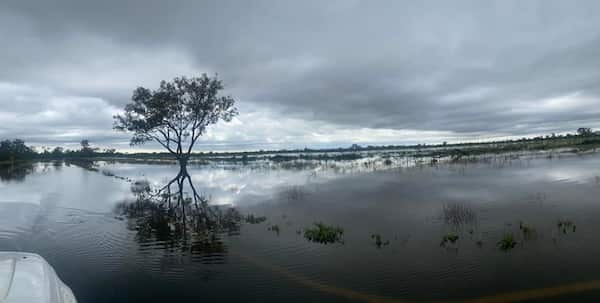 Record flood levels completely lock in border town of Mungindi | SBS NITV