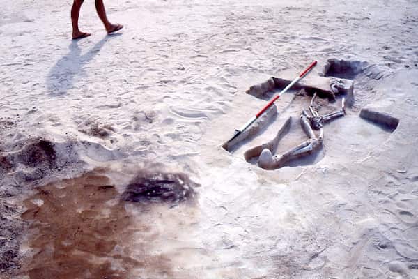 Mungo Man: The final journey home | SBS Living Black