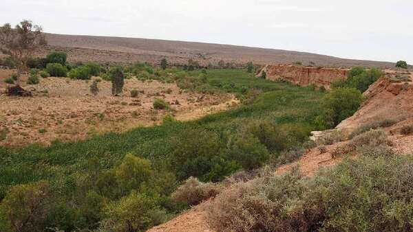 Adnyamathanha people gear-up to save their land from nuclear waste dump ...