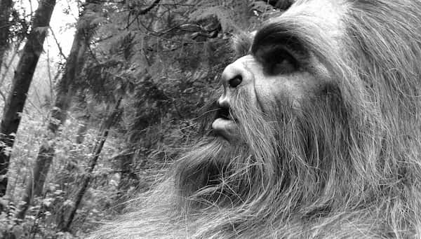 North America's Sasquatch: finding fact within the fable | SBS NITV
