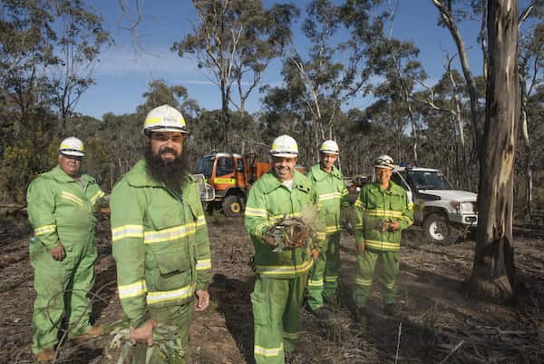 Indigenous fire management practices benefit Country and Traditional ...