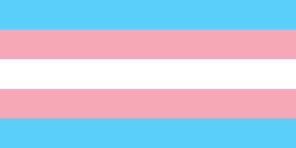 The trans woman who created the official transgender Pride flag is a ...