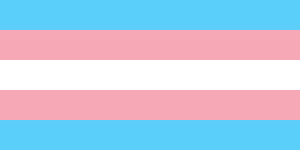 The trans woman who created the official transgender Pride flag is a ...